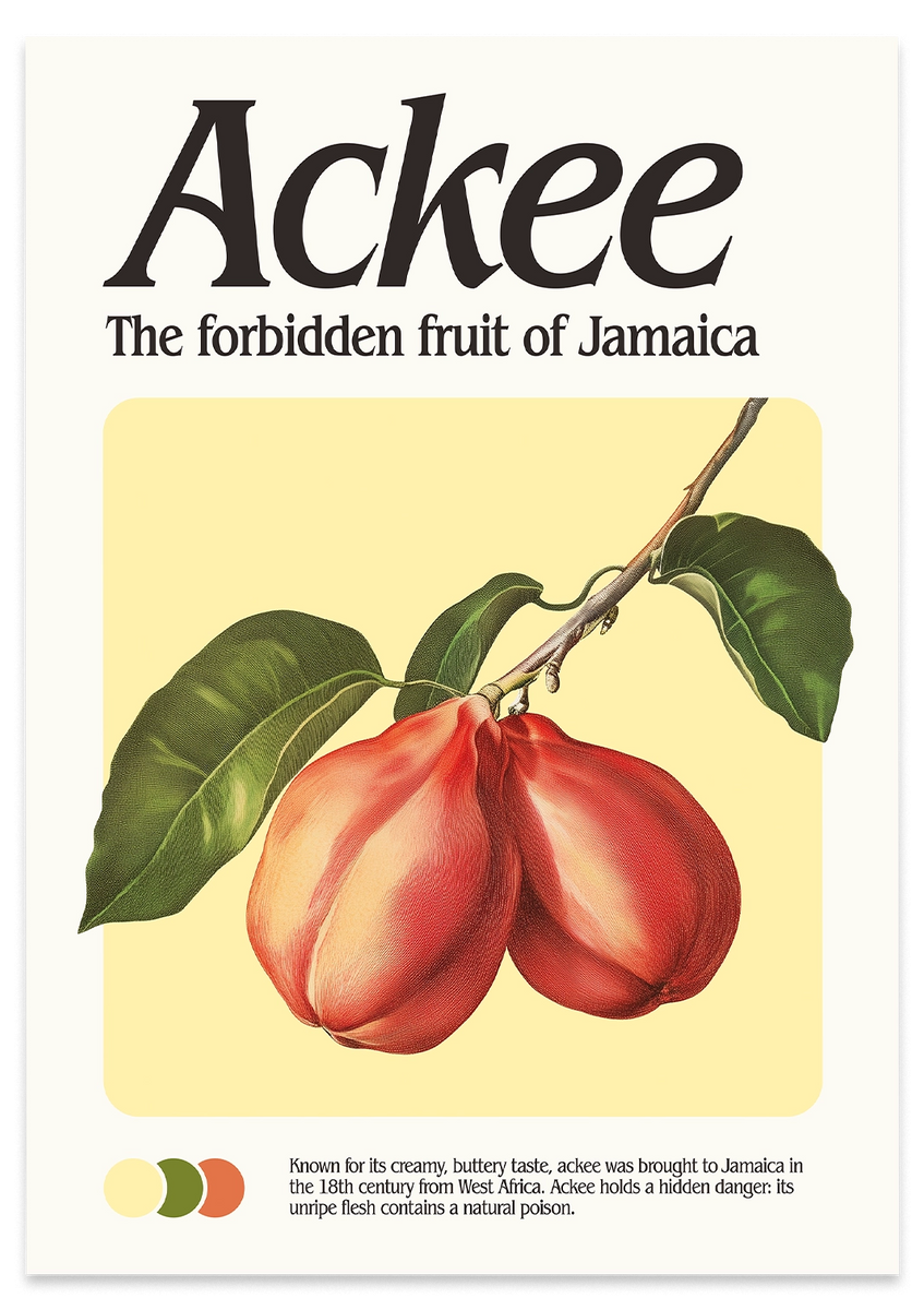 Ackee Print – Hood Greetings