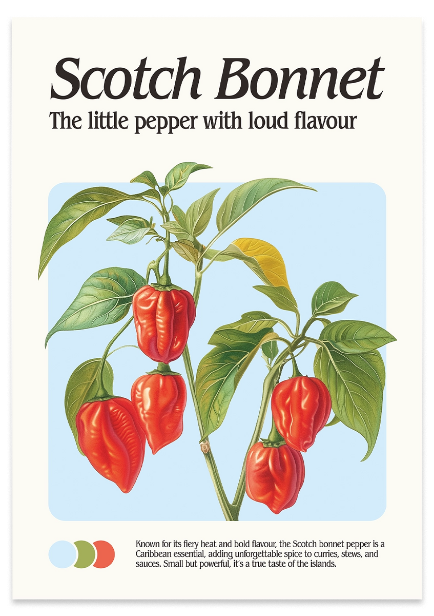 Scotch Bonnet Print – Hood Greetings